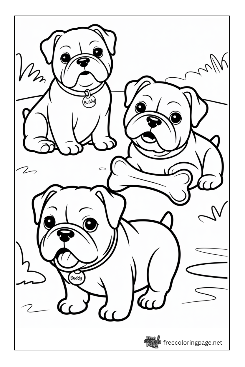 70+ Dog Coloring Pages – Creative & Fun Puppy Pictures