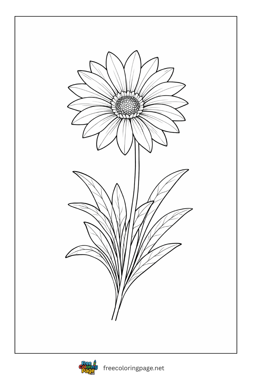 70+ Flower Coloring Pages – Free Printable for Kids & Adults